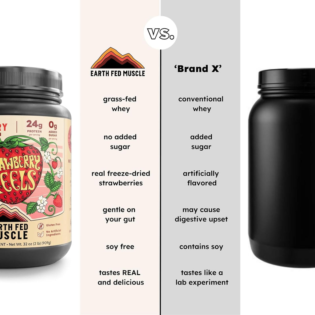 muscle recovery whey protein isolate