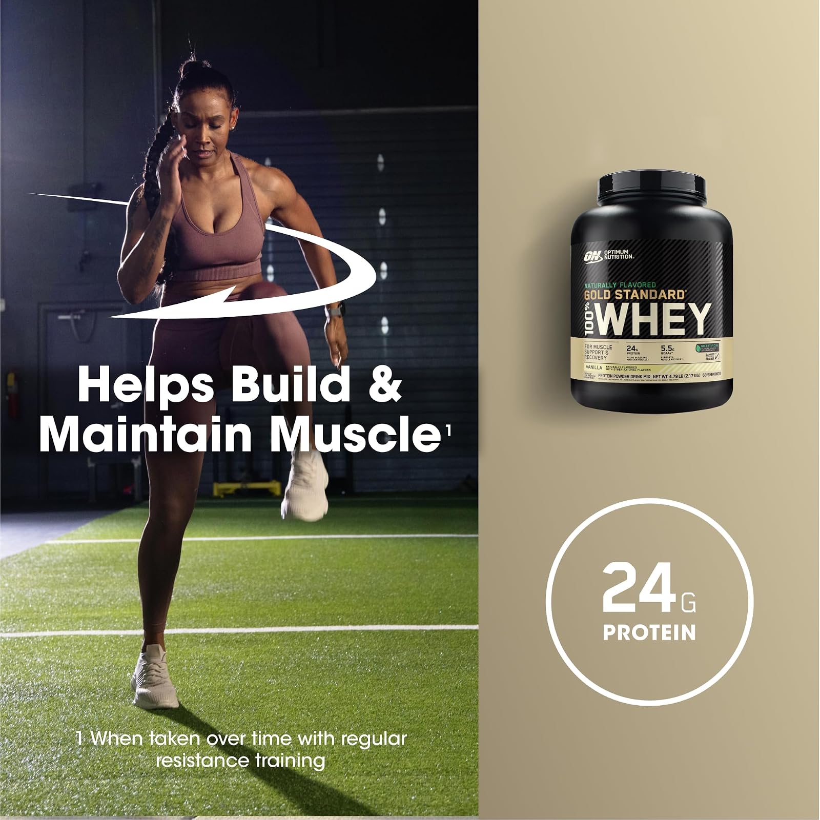 muscle recovery whey protein powder