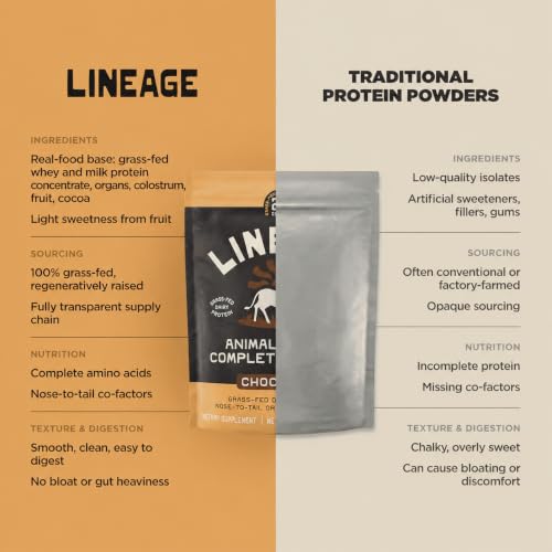 muscle recovery whey protein
