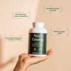 muscle recovery with creatine monohydrate