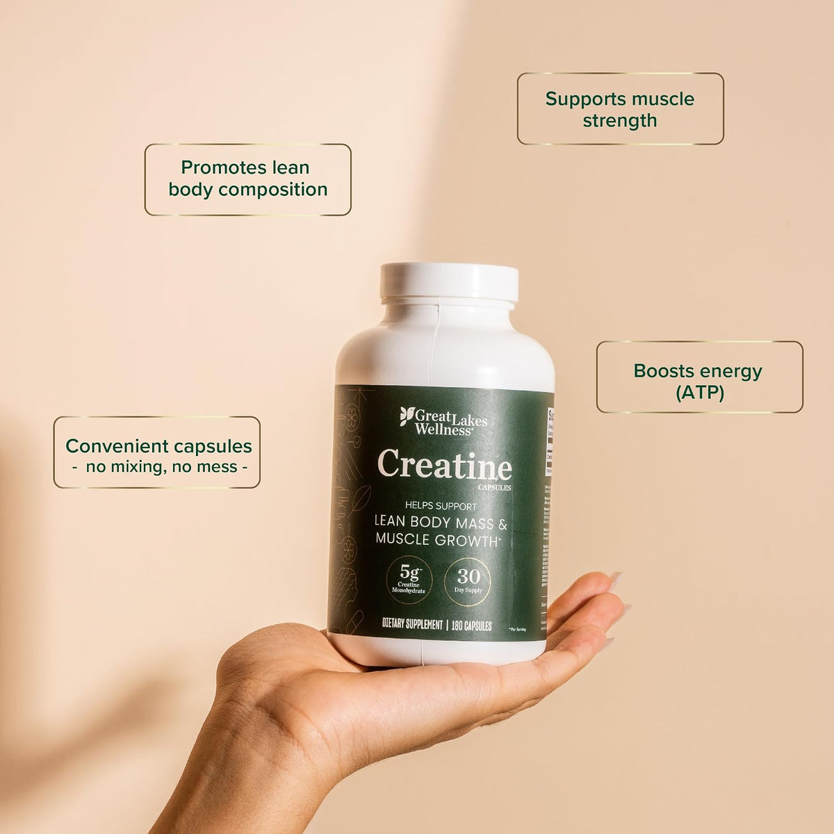 muscle recovery with creatine monohydrate