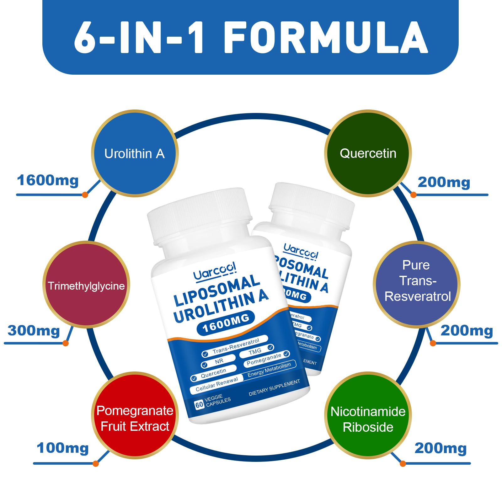 Muscle strength enhancement supplement