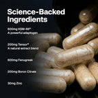 MuscleTech AlphaTest for muscle growth