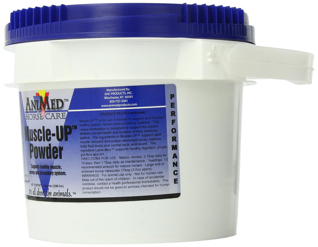 MuscleUp whey protein for muscle recovery