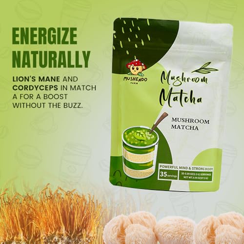 Mushendo Mushroom Matcha for mental clarity