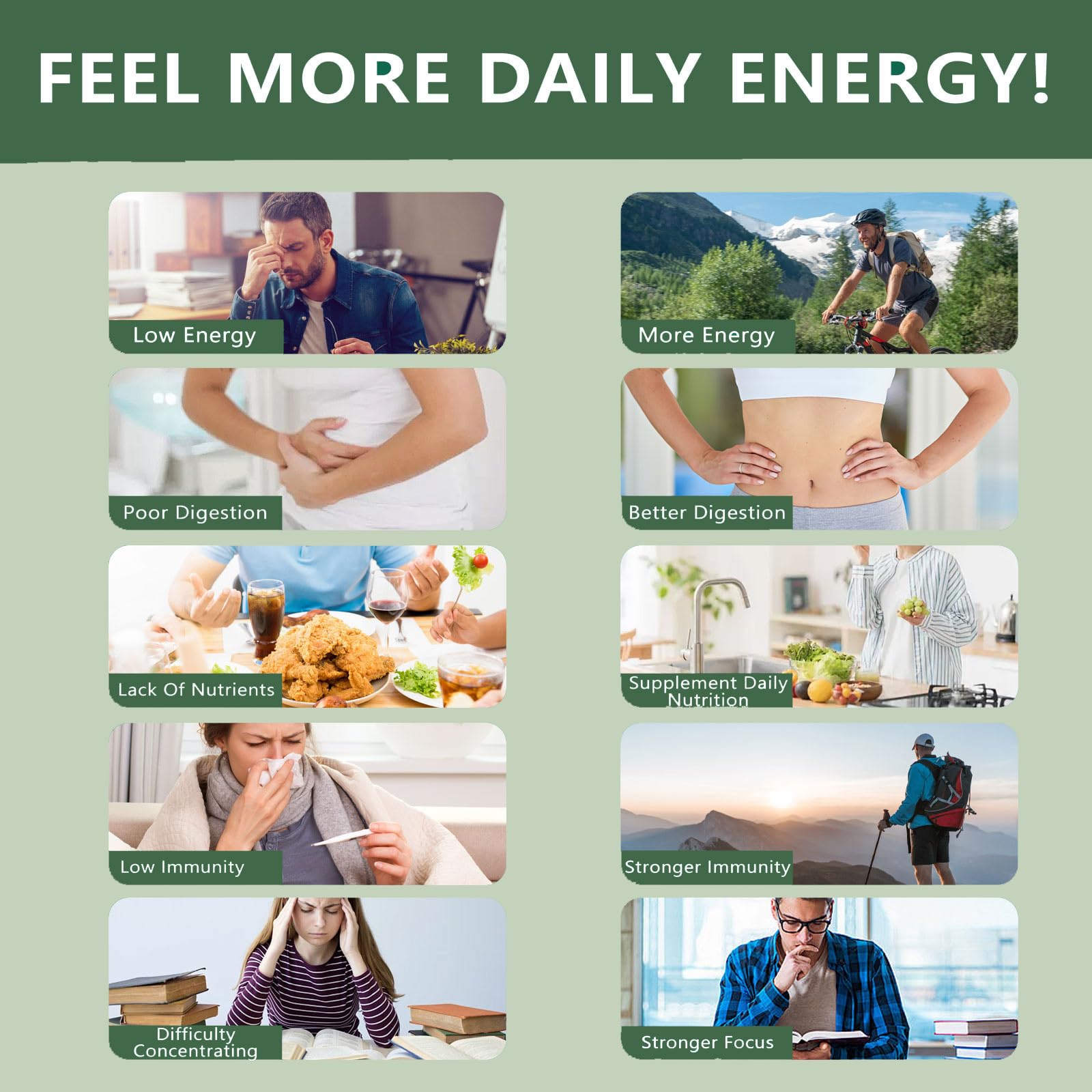 mushroom adaptogen for wellness