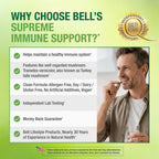 mushroom adaptogen turkey tail capsules