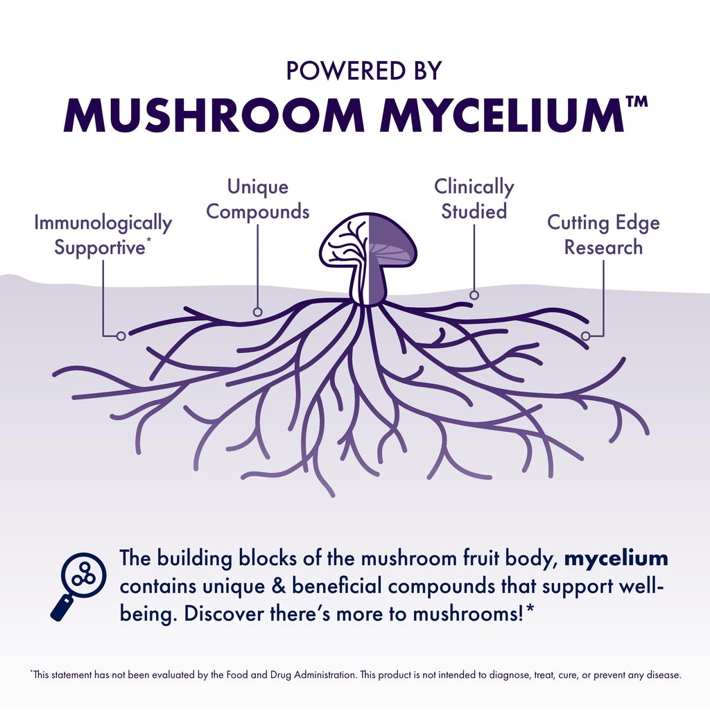 mushroom-based cognitive enhancement