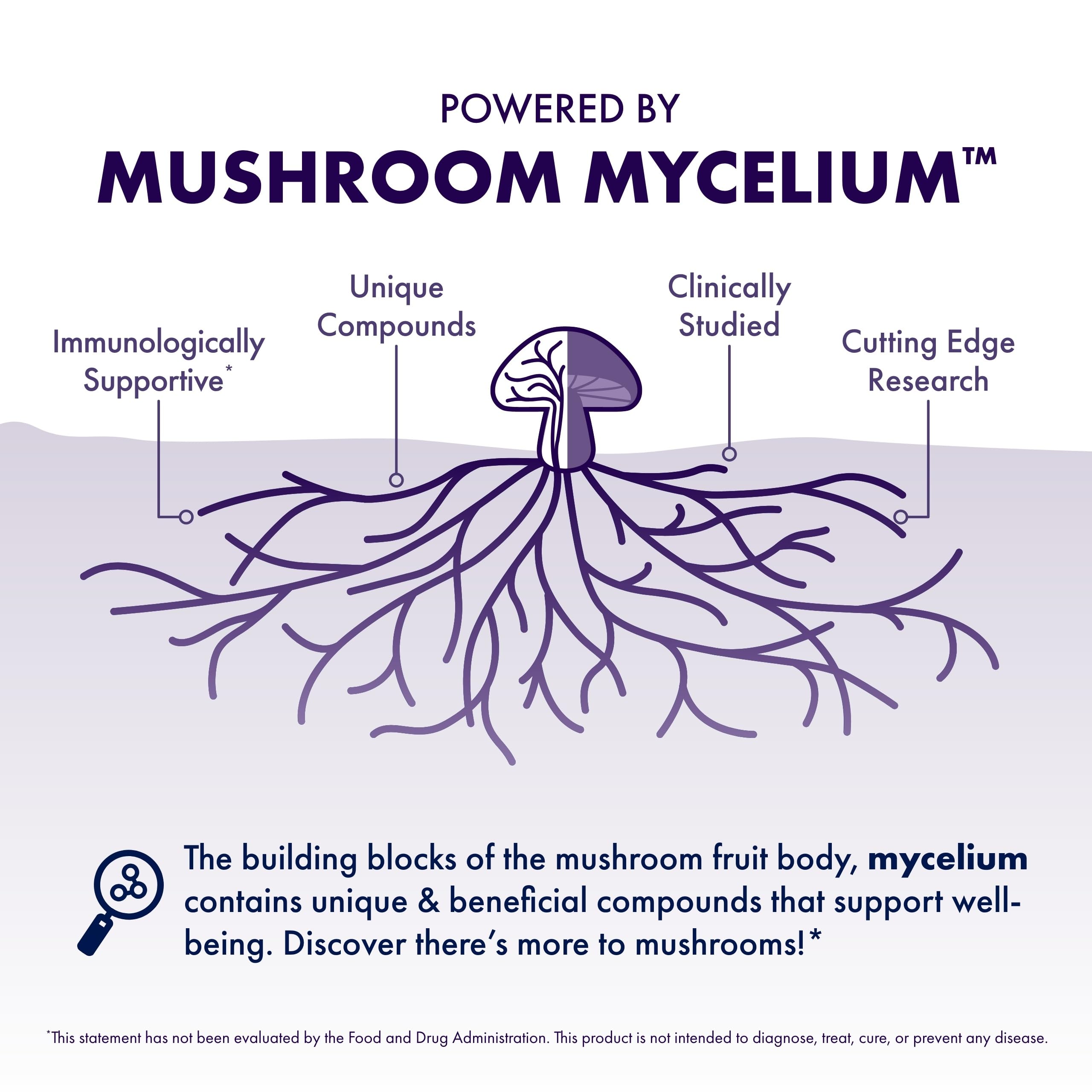 mushroom-based cognitive enhancement