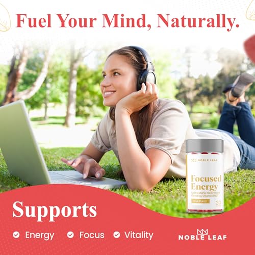 Mushroom-based energy and focus formula