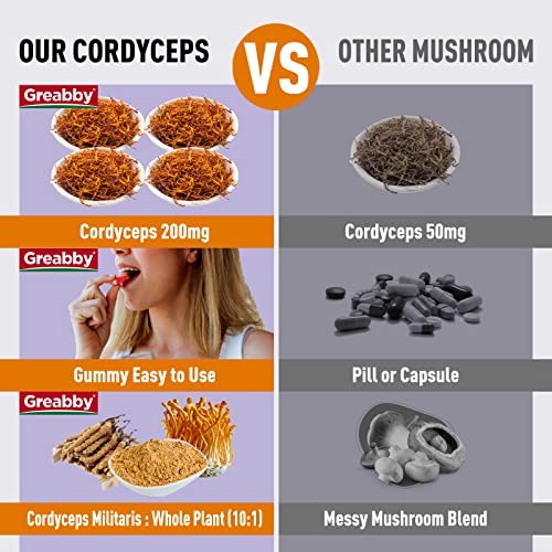Mushroom-based energy boost for workouts