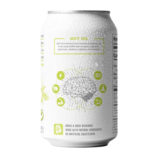 mushroom-based energy drink for focus