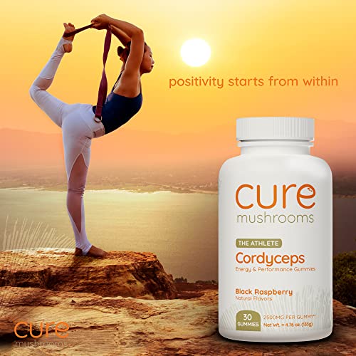 Mushroom-based energy supplement