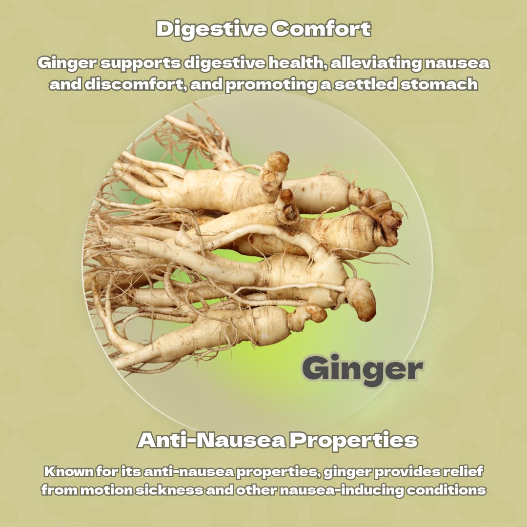 mushroom-based immune health support