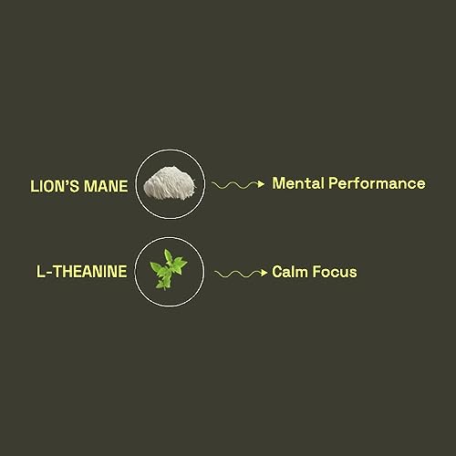 Mushroom-based nootropic for studying