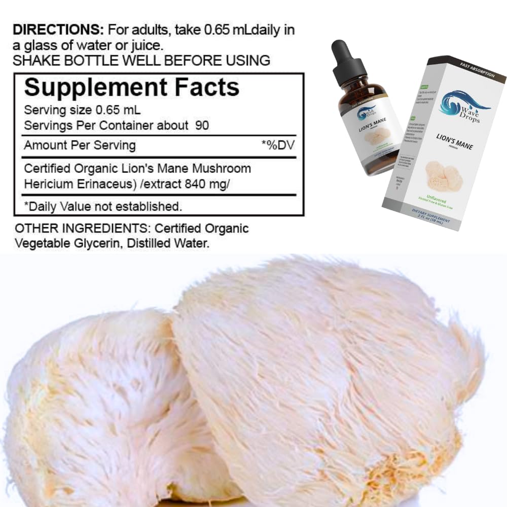 Mushroom-based nootropic for wellness