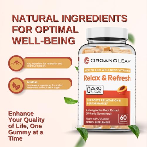 mushroom-based wellness gummies