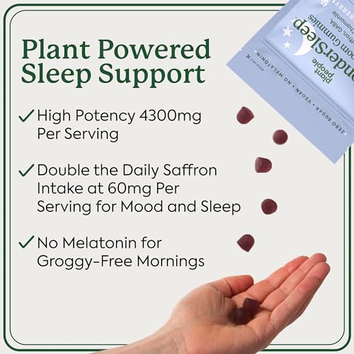 mushroom-based wellness products