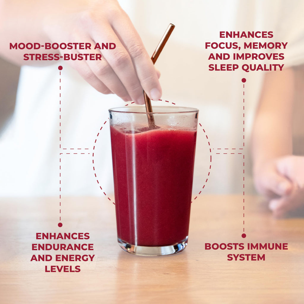 mushroom blend for better digestion