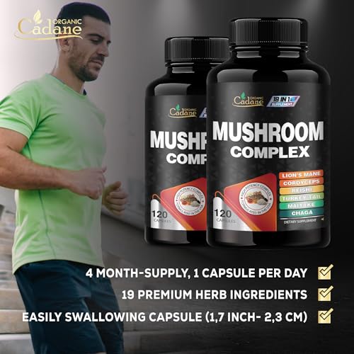 mushroom blend for better sleep quality
