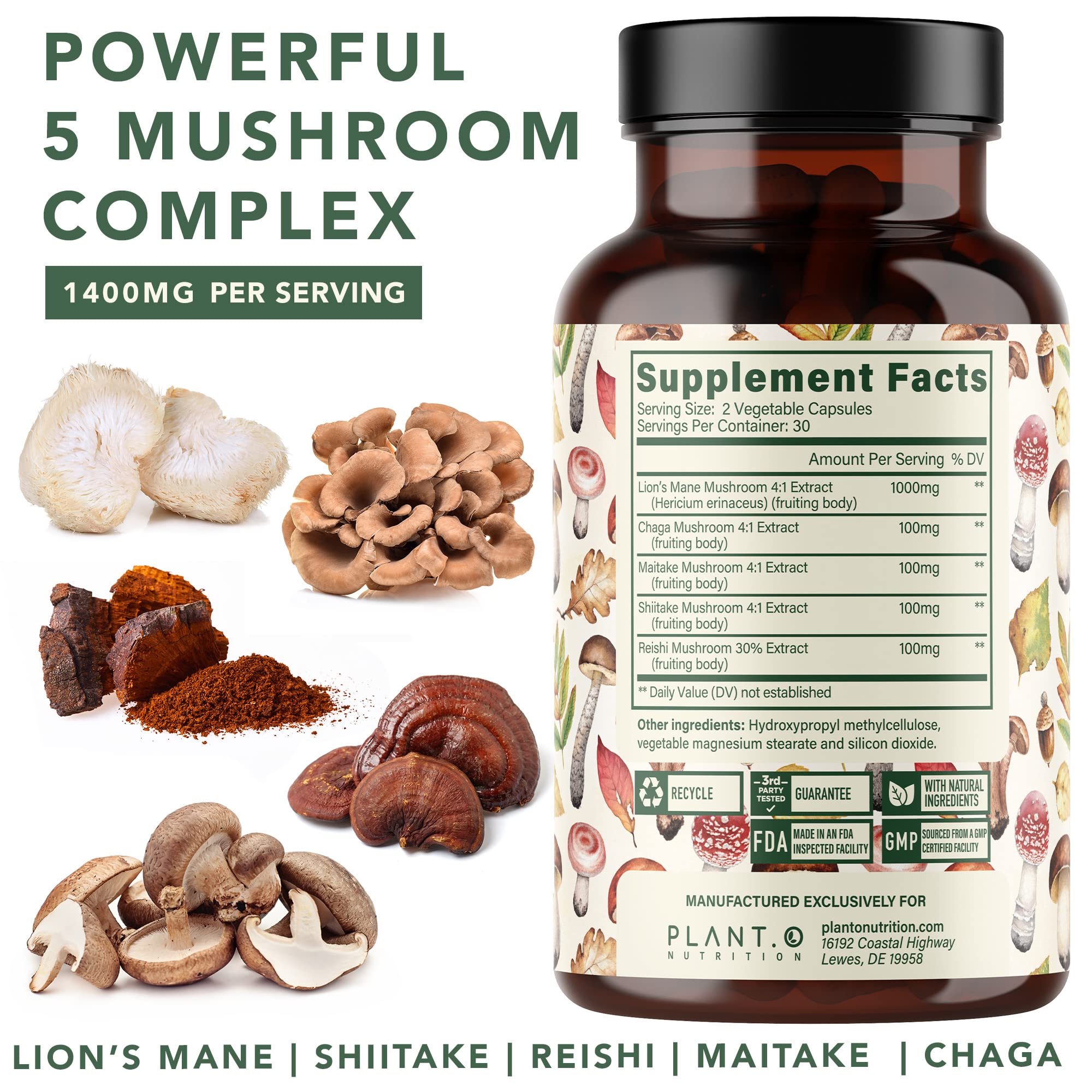 Mushroom blend for brain health