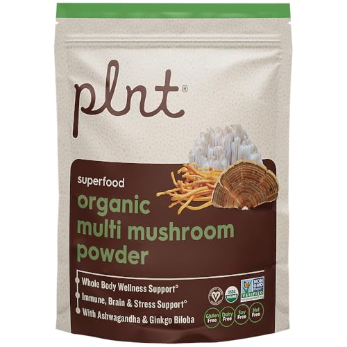 mushroom blend for brain health