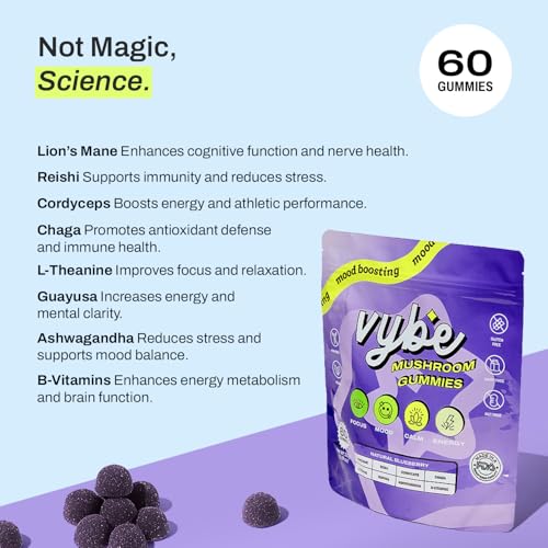 Mushroom blend for cognitive enhancement