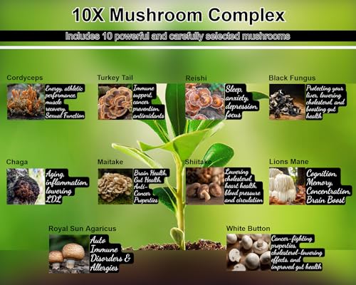 Mushroom blend for cognitive function