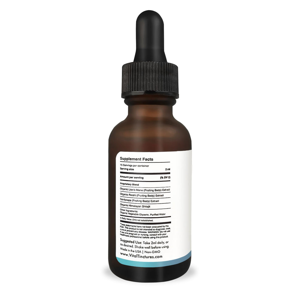 mushroom blend for cognitive function