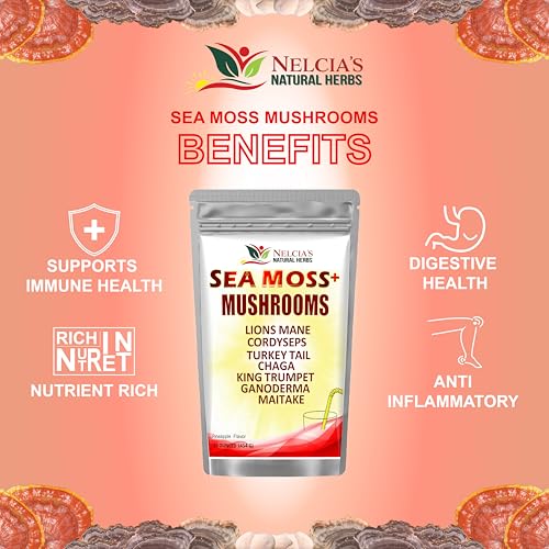 Mushroom blend for cognitive function