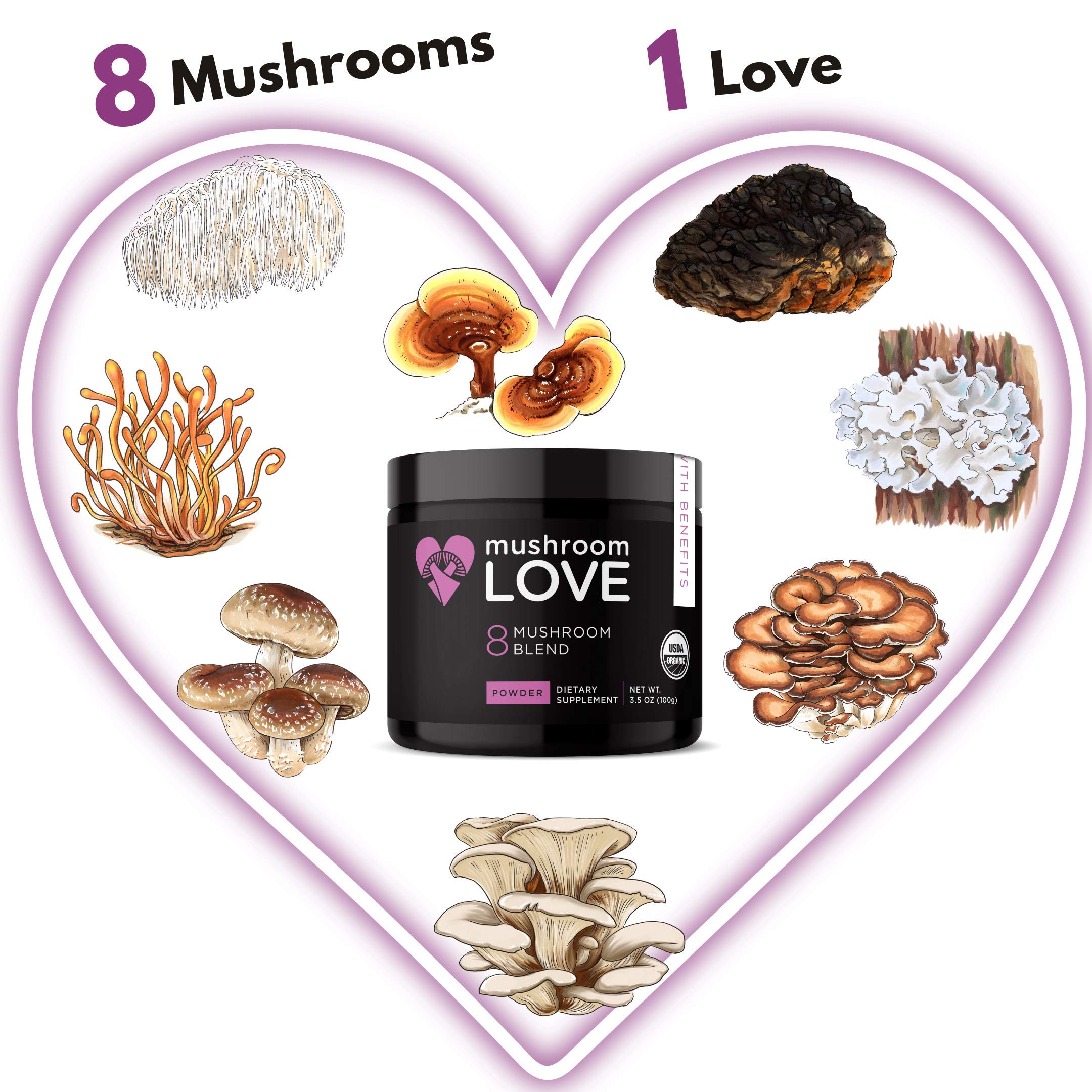 mushroom blend for cognitive health
