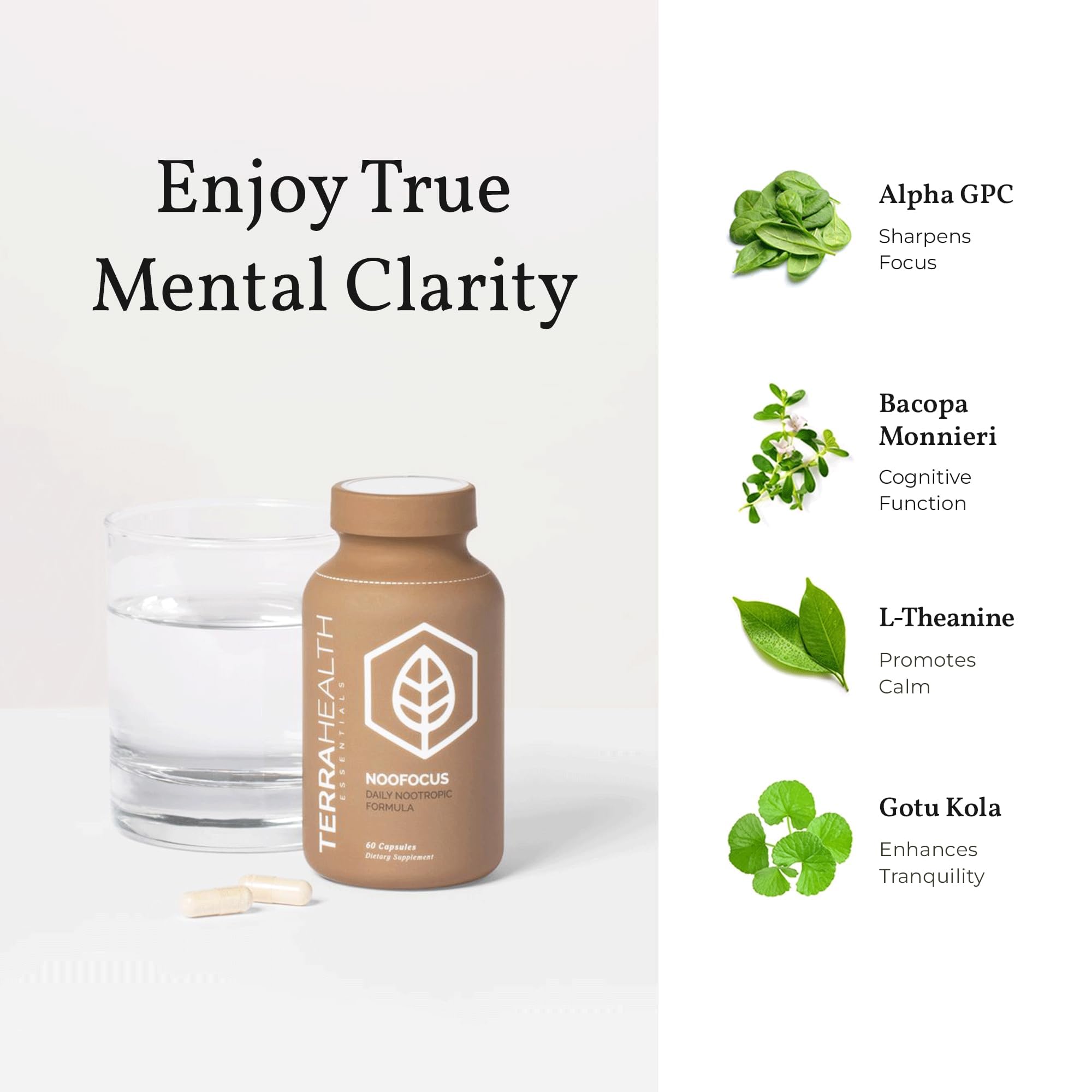 mushroom blend for cognitive health