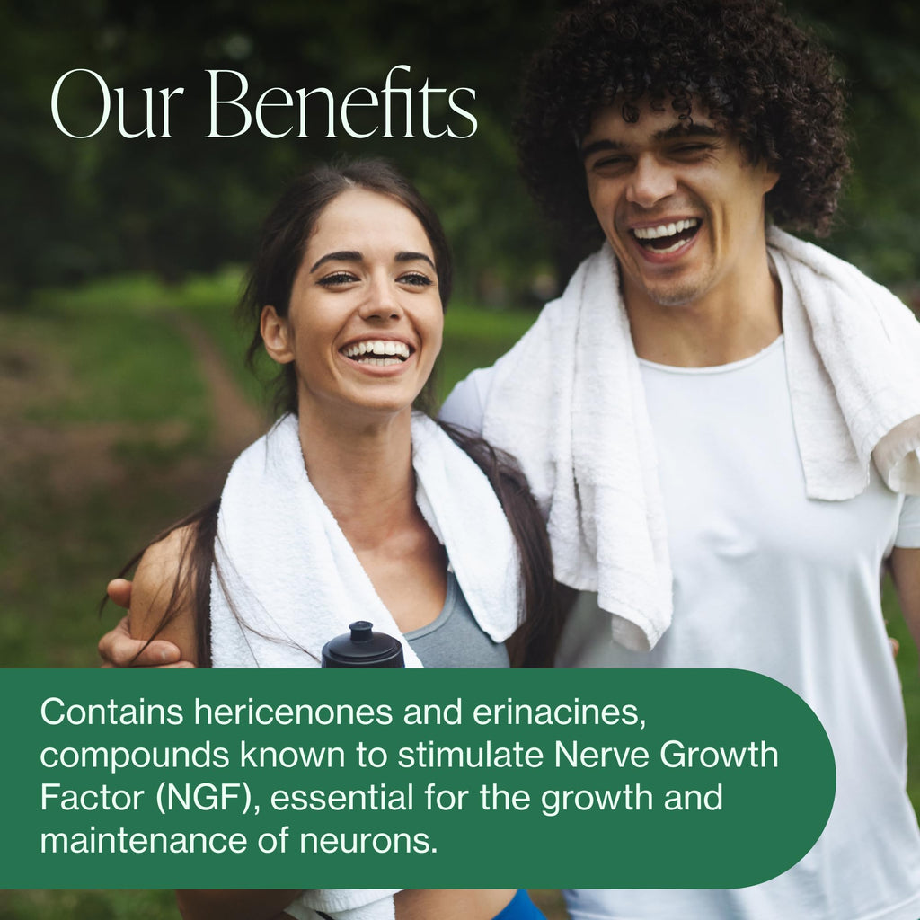 mushroom blend for cognitive support