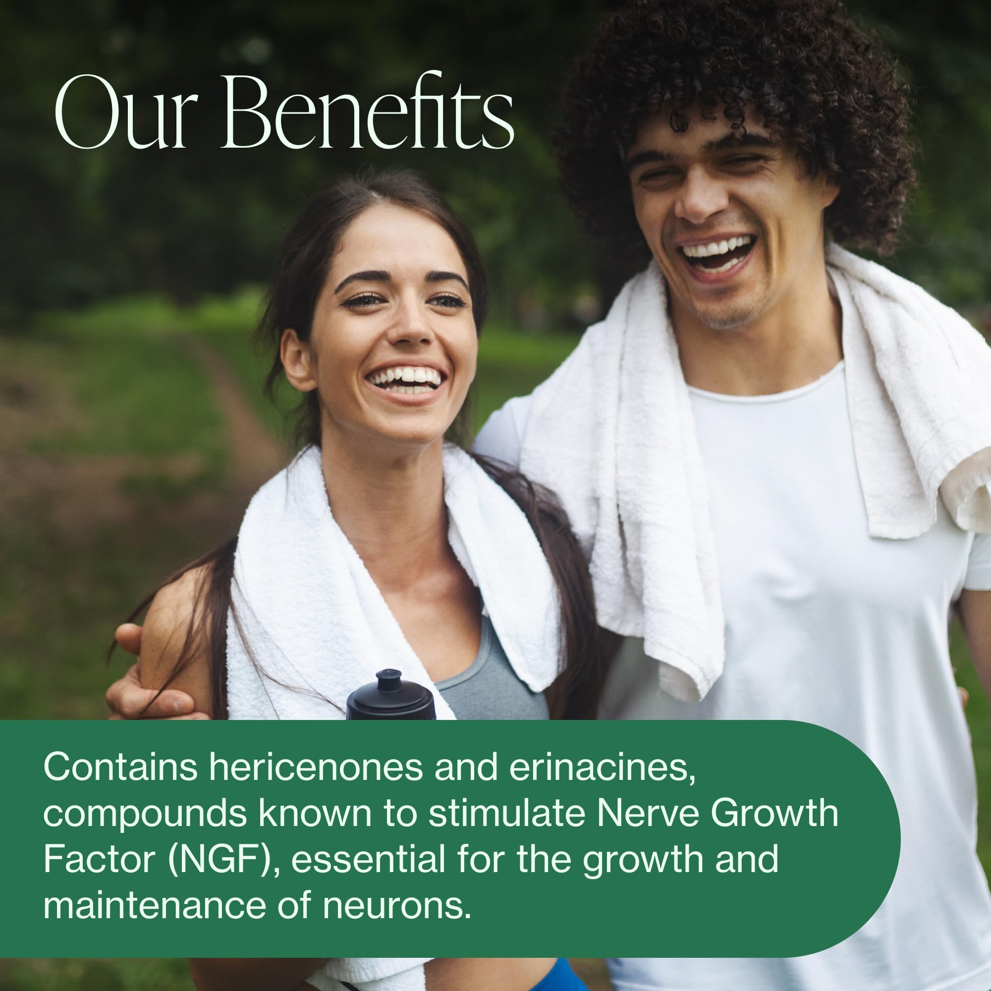 mushroom blend for cognitive support
