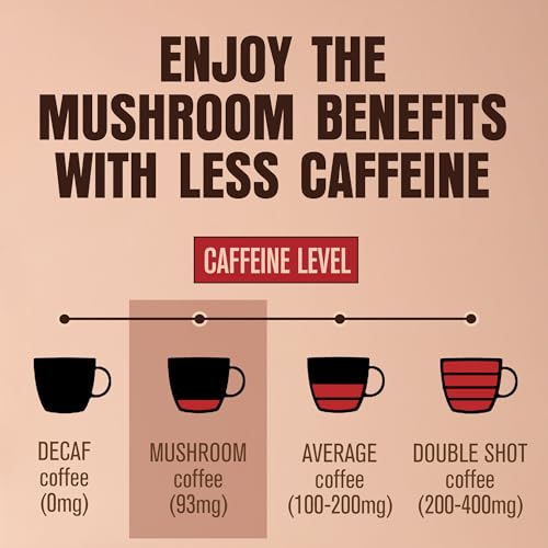 mushroom blend for cognitive support