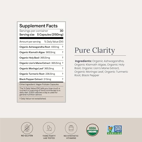 mushroom blend for cognitive support