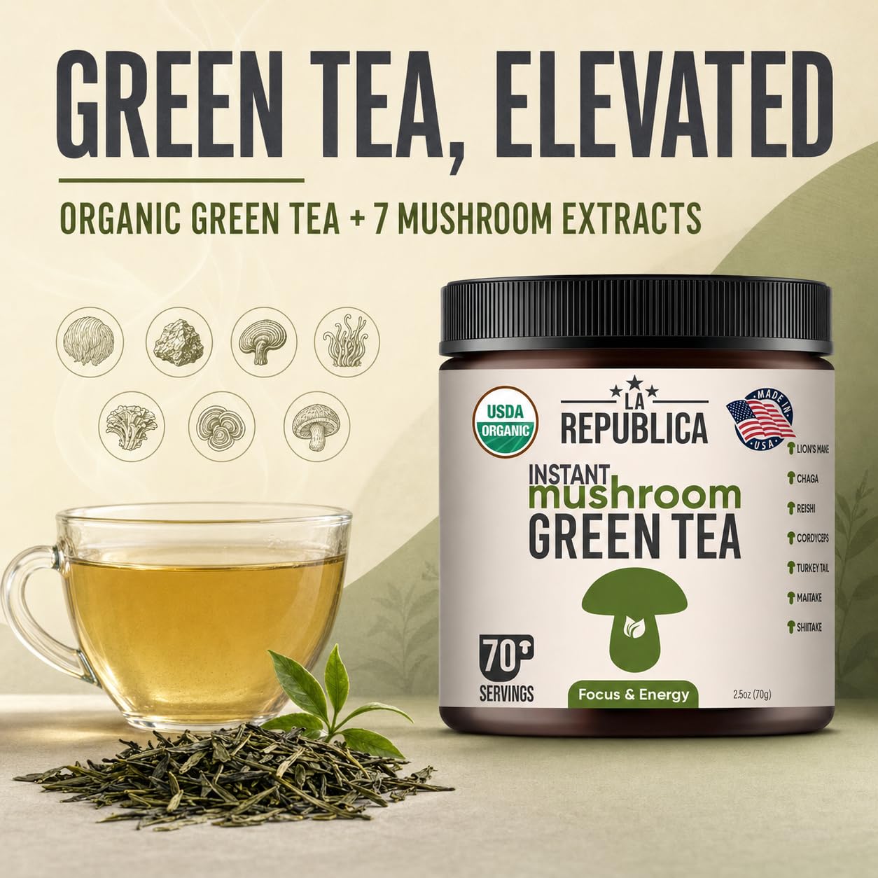 mushroom blend for daily energy