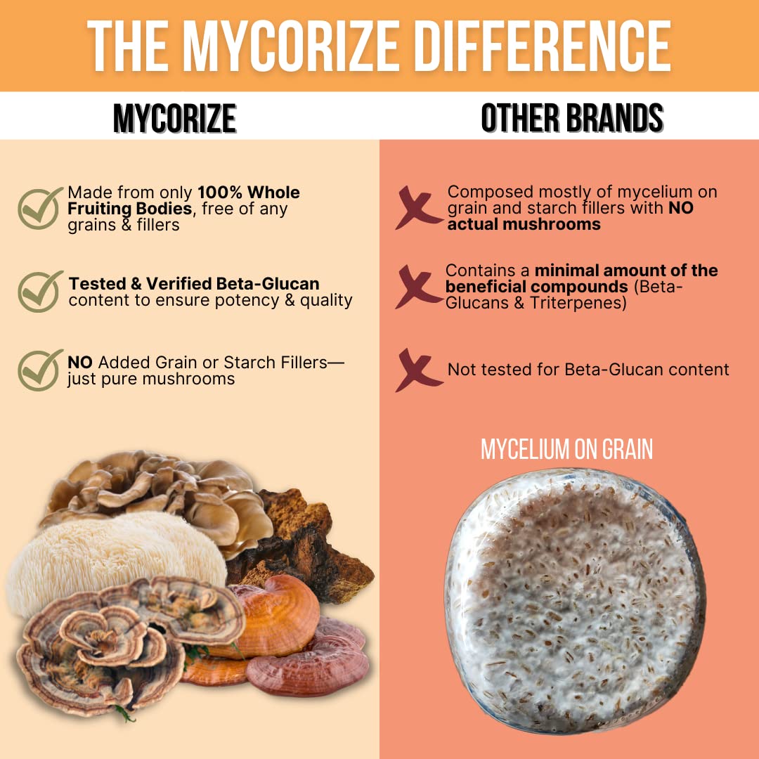 mushroom blend for daily vitality