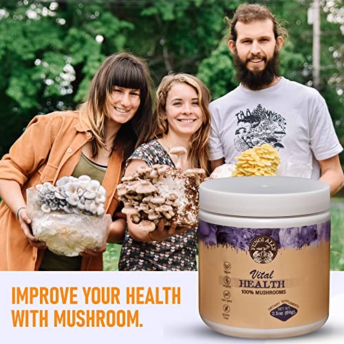 mushroom blend for daily wellness