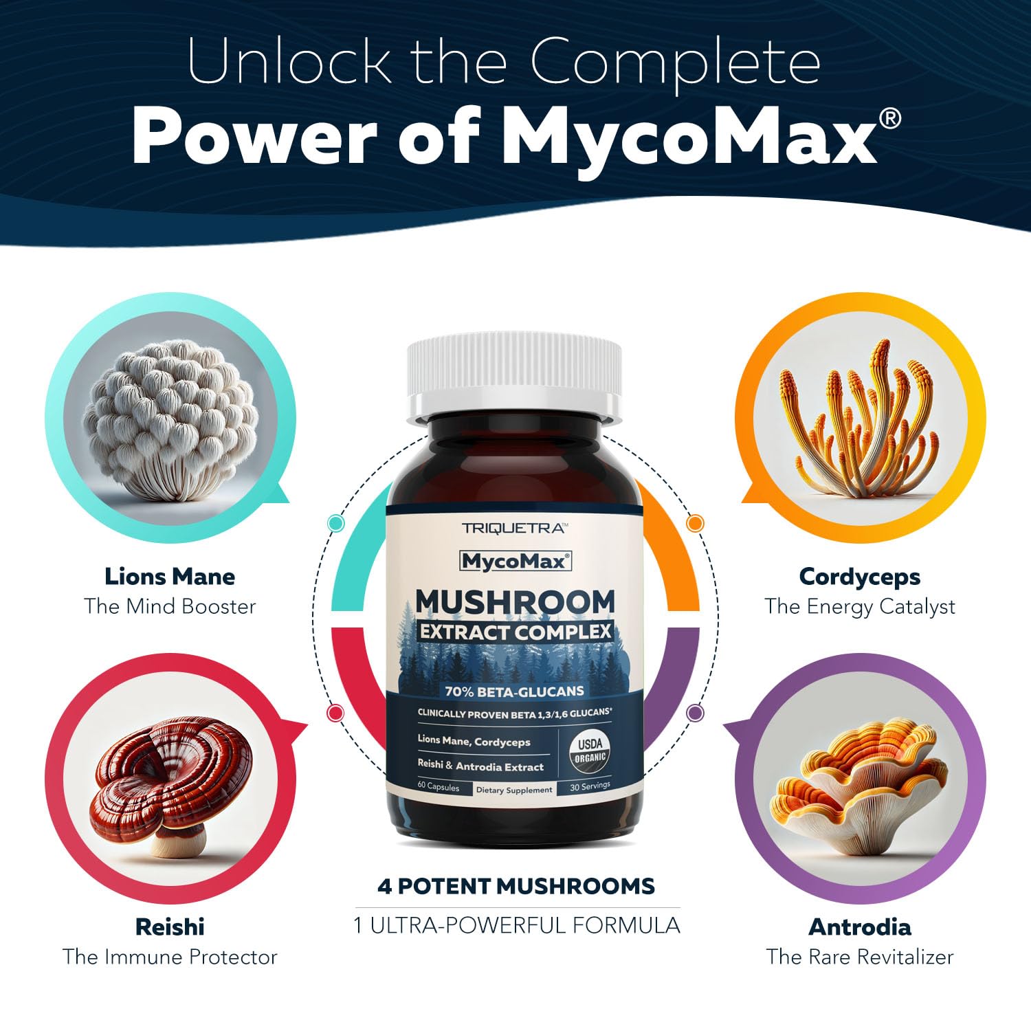 mushroom blend for enhanced focus