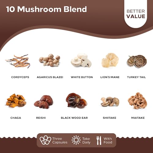 Mushroom blend for enhanced focus