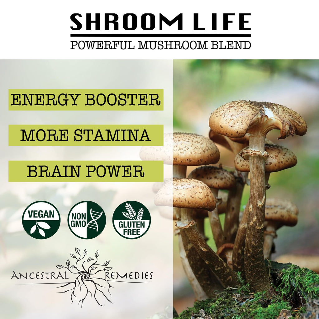 mushroom blend for enhanced focus