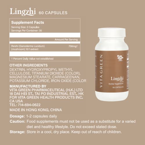 mushroom blend for holistic benefits