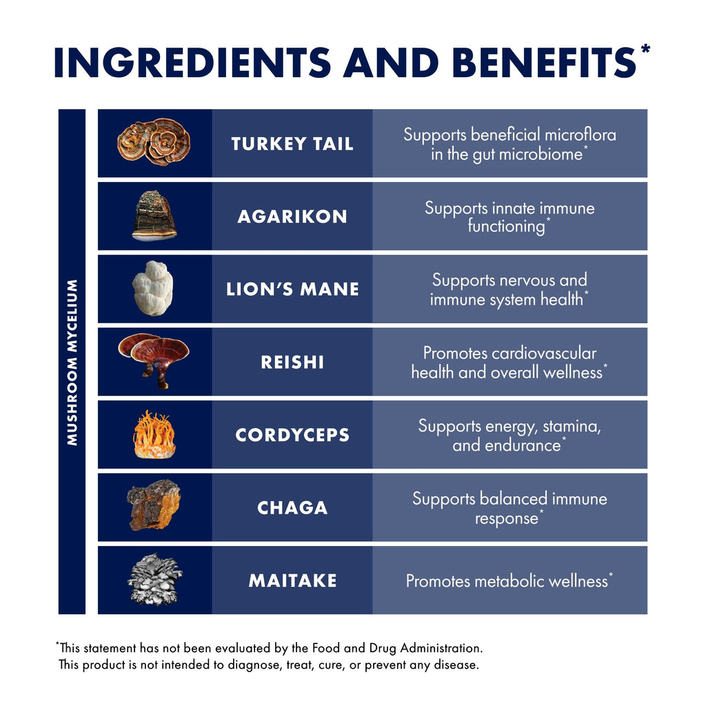 Mushroom blend for holistic health