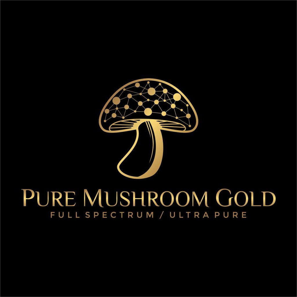 mushroom blend for holistic health