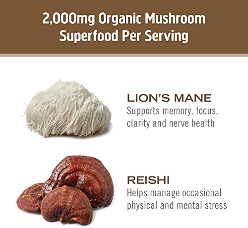 Mushroom blend for holistic health