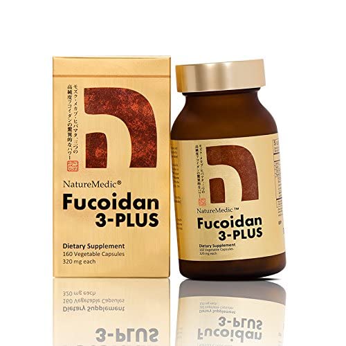 mushroom blend for holistic health
