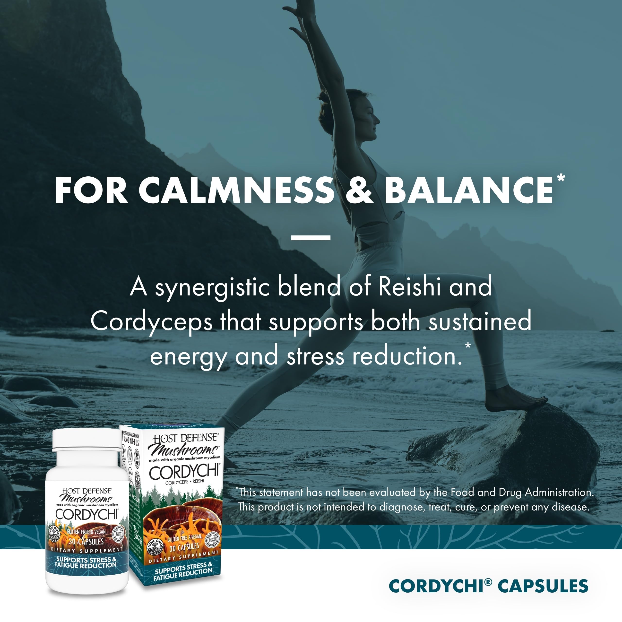 mushroom blend for holistic health
