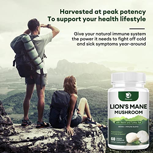 Mushroom blend for holistic health