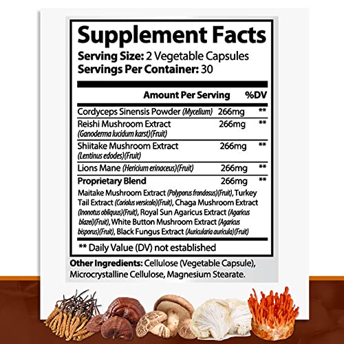 Mushroom blend for holistic well-being